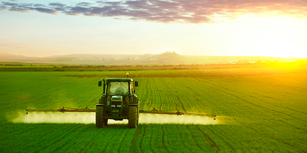 Commercial Farmers | SGS