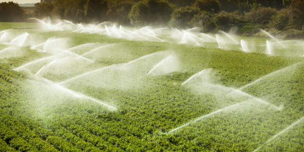 Water Solutions | SGS