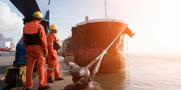 Draft Survey Tool | SGS